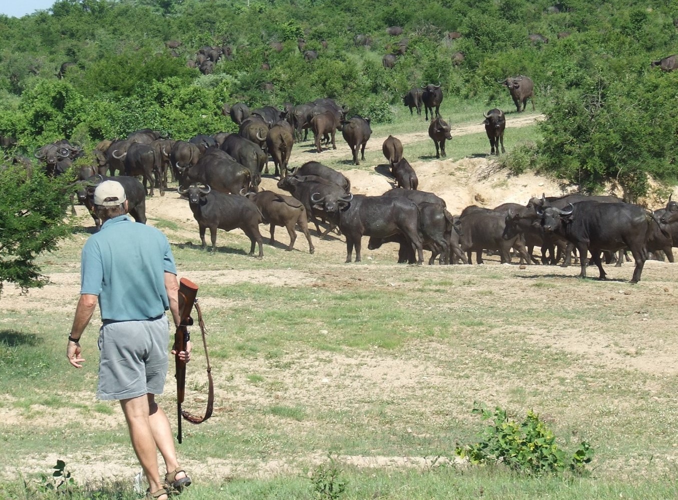 The Demise of The Classic Hunting Rifle – African Expedition | The ...